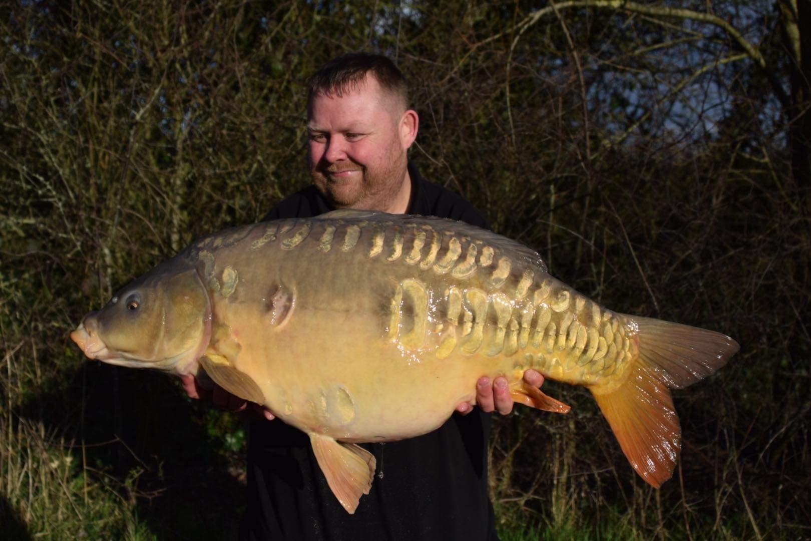 Pin scale | Total Carp